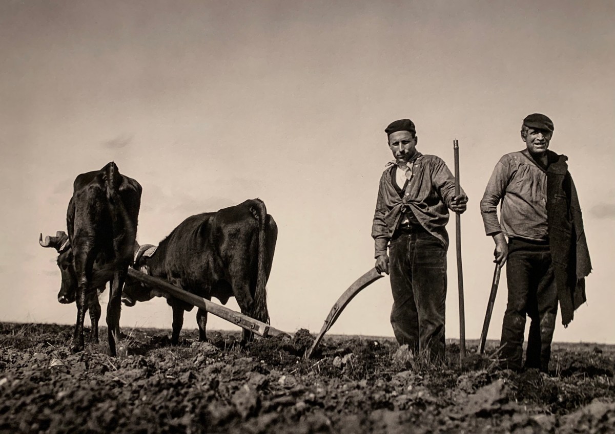 Cartografía de la memoria. La visita de Ruth M. Anderson a Zamora en ...